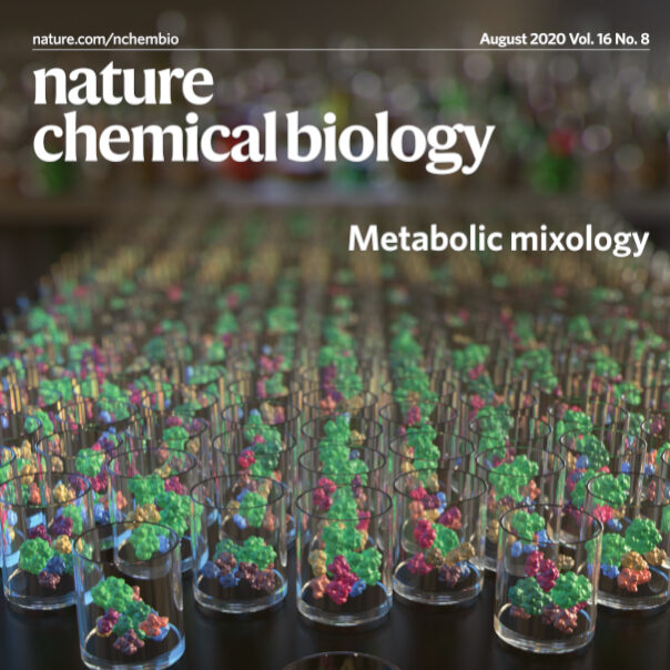 JEWETT LAB